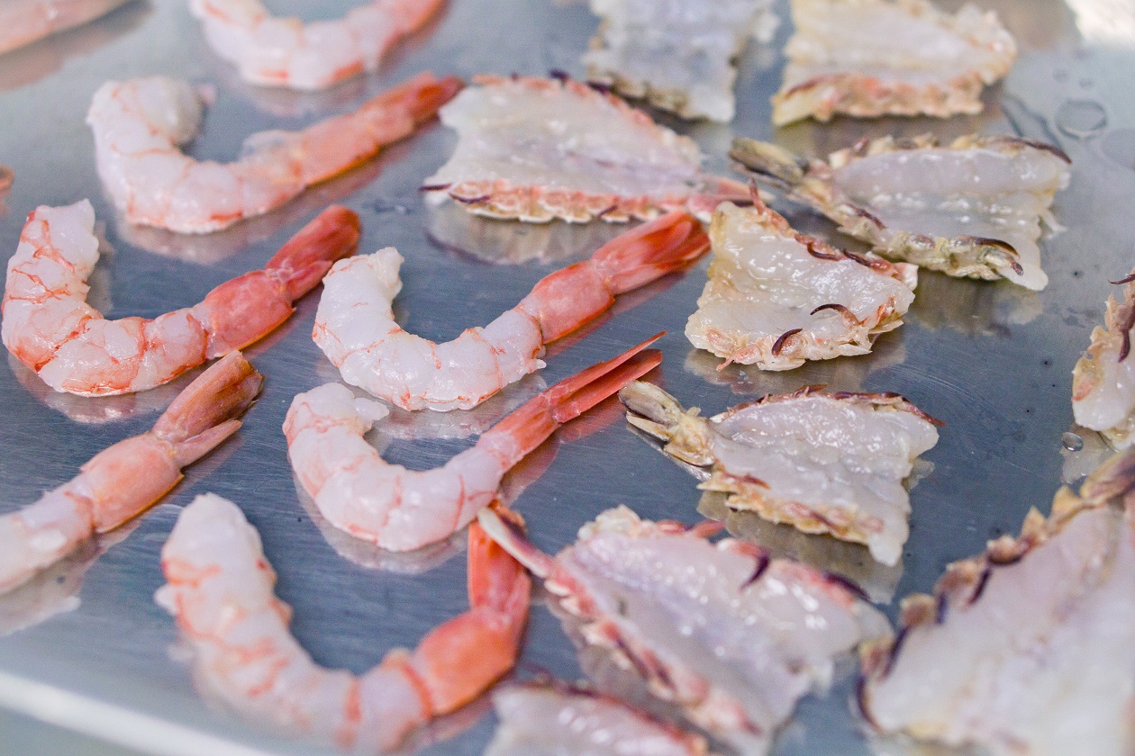 The Season is Starting! - Titusville FL Chamber of Commerce